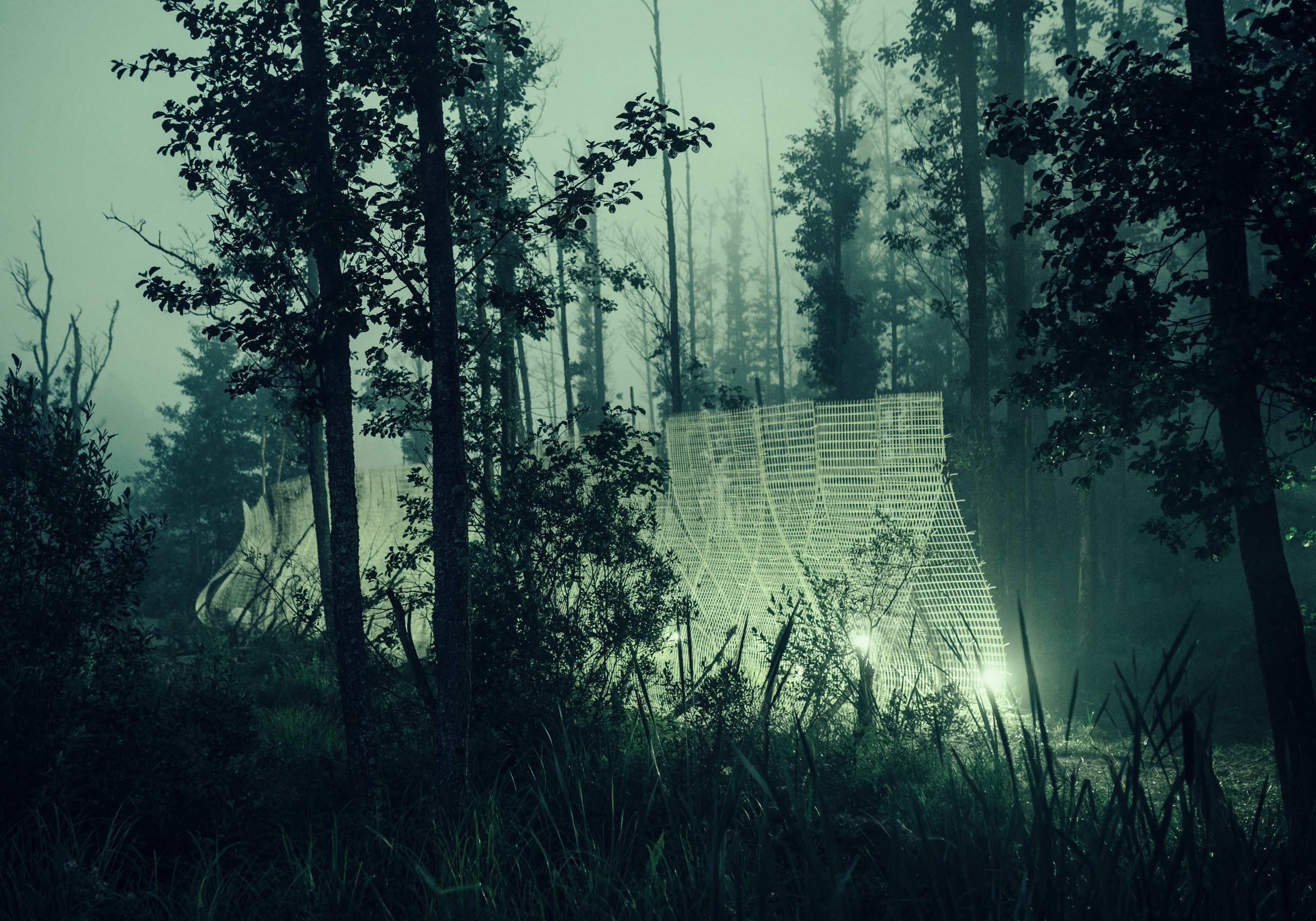 Signal – 2023: как это было